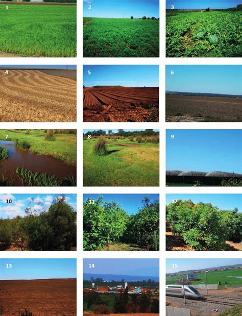 Land Cover Types Photographed During Field Visits 1 Rice 2
