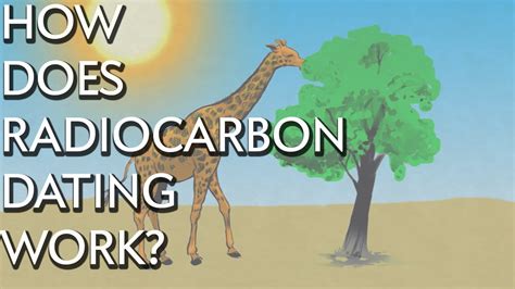 Understanding Radiocarbon Dating The Science Behind Fossil Age