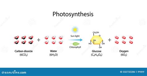 Photosynthesis Equation Diagram With Symbols Stock Illustration Adobe