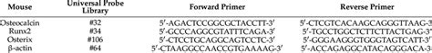 Oligonucleotide Primers Used For Quantitative Real Time Pcr Download Scientific Diagram