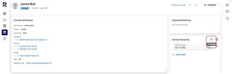 Reltio New Ui Profile Page And Related Perspectives