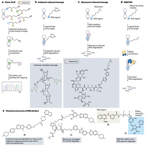 Nat Rev Chem｜靶向rna的小分子方法 知乎