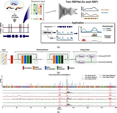 bmc on linkedin towards in silico clip seq predicting protein rna