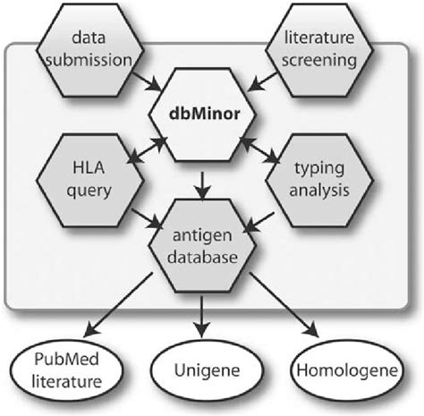 Structure Of The Minor H Antigen Database Dbminor Data From Dbminor