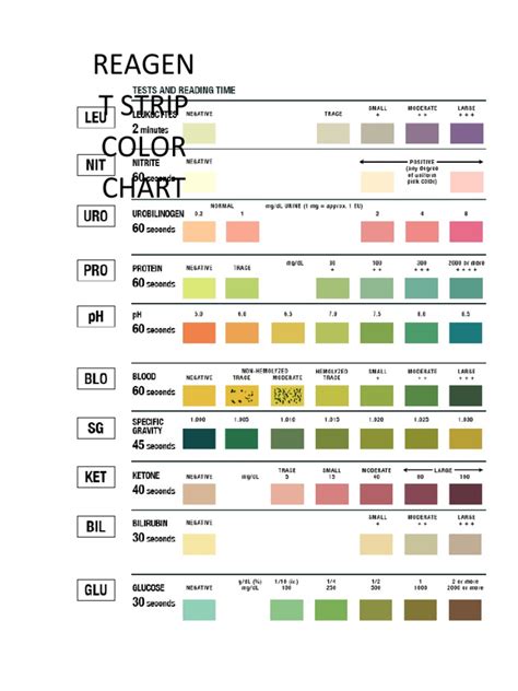 Reagent Strip Color Chart Pdf