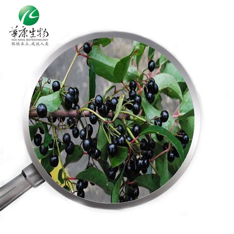 马基莓食物有用第12页大山谷图库