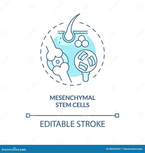 Mesenchymal Stem Cells Stem Cell Structure Vector Illustration 200866495