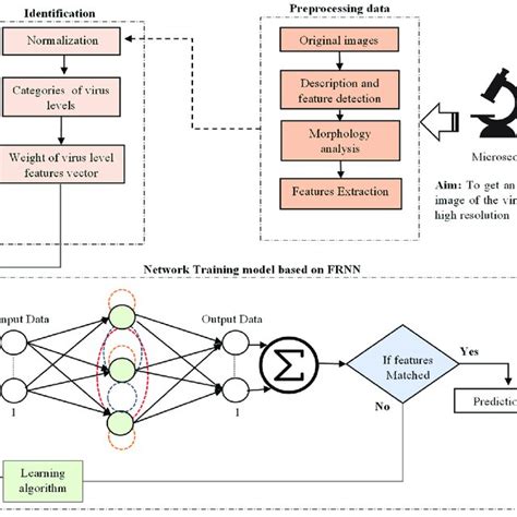 The Sars Cov 2 Prediction Model Illustrates The Virus Levels Using The Download Scientific