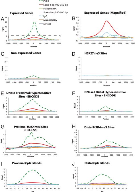Aggregation Plots Depicting The Average Chip Signal Across A Variety Of