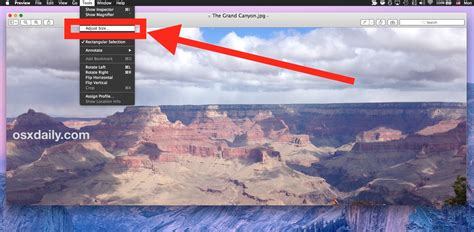 How To Resize A Photo On Mac