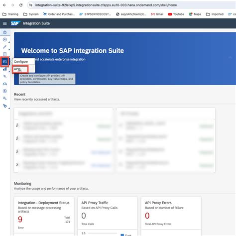 Create Api Provider In Sap Integration Suite For S Sap Community