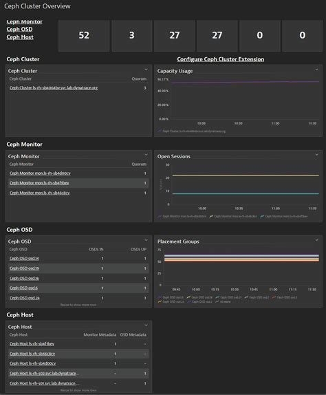 Ceph Storage Monitoring And Observability Dynatrace Hub