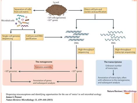 Metagenomics Pptx