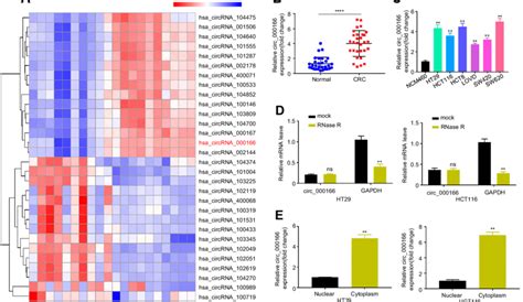 Circrna000166 Expression Was Increased In Colon Cancer A