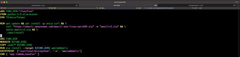 Aws Customized Your Lambda Image