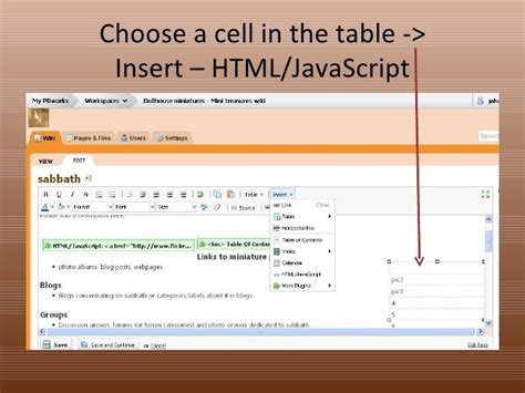Shopify Embed Flickr Gallery Medicdiki