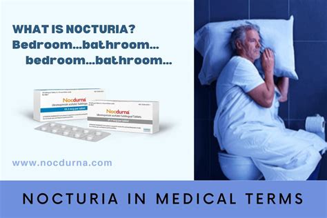 Insomnia Nocturia At Douglas Sexton Blog