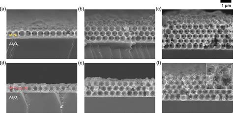 Morphology Characterization Af Cross‐sectional Scanning Electron