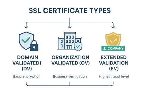 Understanding Ssl Certificate Types Available From Trustico® Trustico