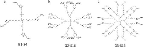 Molecular Representation Of Dendrimers A G1 S4 With 4 Sulfate End