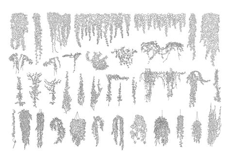 Dwg Pack Ivy Hanging Plants Climbing Plants Cad Blocks In Elevatio Cadnature