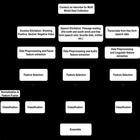 Work Flow For Detection Of Depression Using Multi Modal Approach