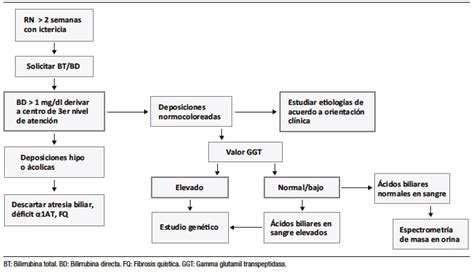 Colestasis Neonatal Revisión Narrativa Delgrupo De Trabajo De La