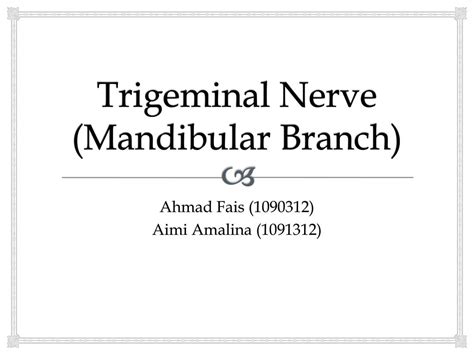 Ppt Trigeminal Nerve Mandibular Branch Powerpoint Presentation Free Download Id 1892929