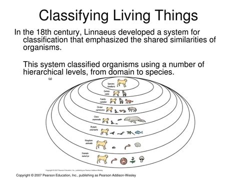 Ppt Classifying Living Things Powerpoint Presentation Free Download Id3107397 Ppt Classifying Living Things Powerpoint Presentation Free Download Id3107397