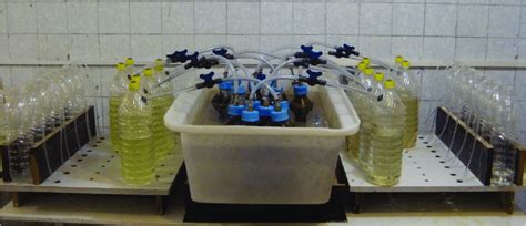 Biogas Production Experimental Set Up Download Scientific Diagram