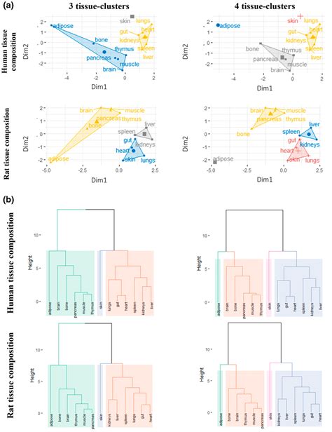 Tissue Grouping Using K‐means And Hierarchical Clustering Methods A