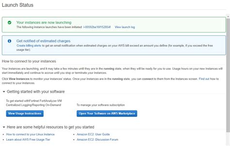 Deploying Fortianalyzer Vm Using Manual Launch Fortianalyzer Public Cloud 6 0 0
