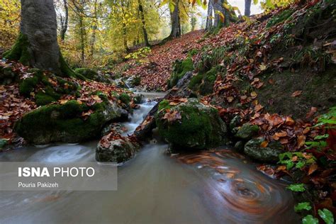 ییلاق سی دشت رودبار عکس آدرس تلفن موقعیت جغرافیایی