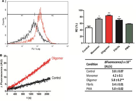 Reactive Species Formation Induced By α Syn Monomers Oligomers And