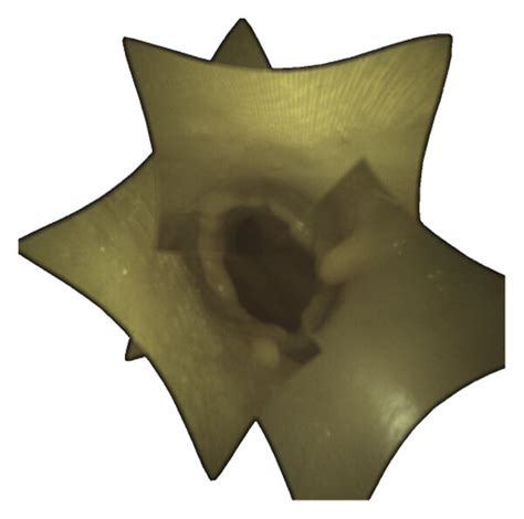 Comparison Of Smooth And Clear Transition In The Stitched Image A Download Scientific