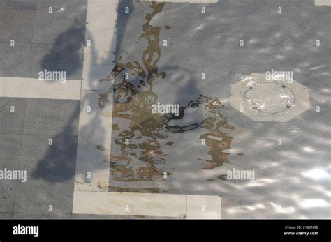 Reflection On Venetian Tiled Pavement With Shadows And Ripples Pattern