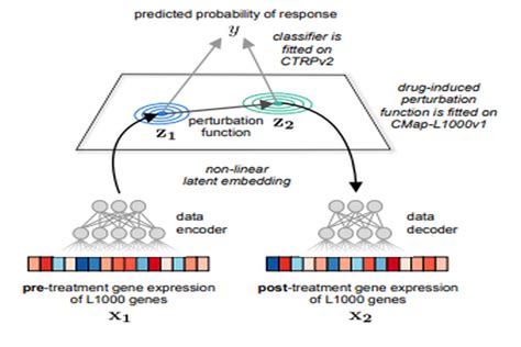 Drug Response Prediction
