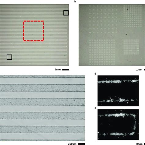Large Area Cnt Pdms Structure Device With Array Of Rectangles A And