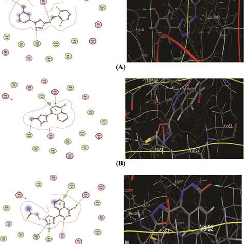 2d Left And 3d Right Diagrams Of Binding Interactions Of Ligand