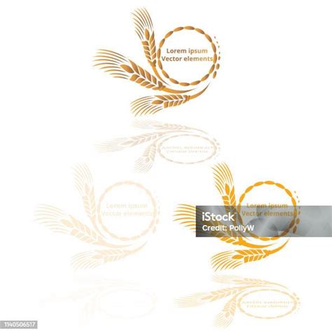 밀 귀 귀리 또는 보 리 3 벡터 로고 유형 흰색 배경에 황금 설정 0명에 대한 스톡 벡터 아트 및 기타 이미지 0명 가을