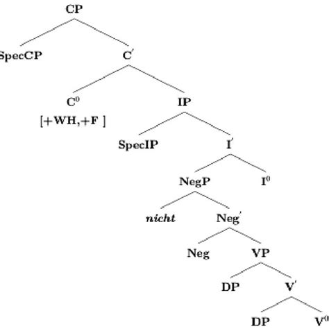 Syntactic Structure Of Negation In German Cf Meisel 1997 Download