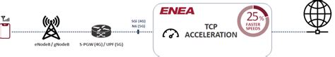 Tcp Acceleration Enea