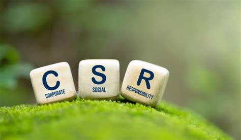 10 Must Do Steps Before Publishing Your Csr Report Amplifying Africa