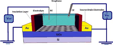 A Cross Section Of Graphene Based Electrolyte Gated Field Effect Download Scientific Diagram