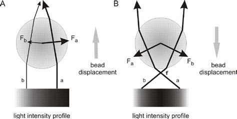 The Principles Behind Optical Trapping A 2d Optical Trap A Parallel Download Scientific
