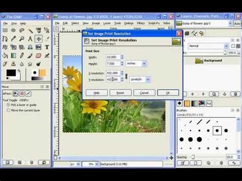 Unable To Install Gimp Inkscape Android Pagconcept