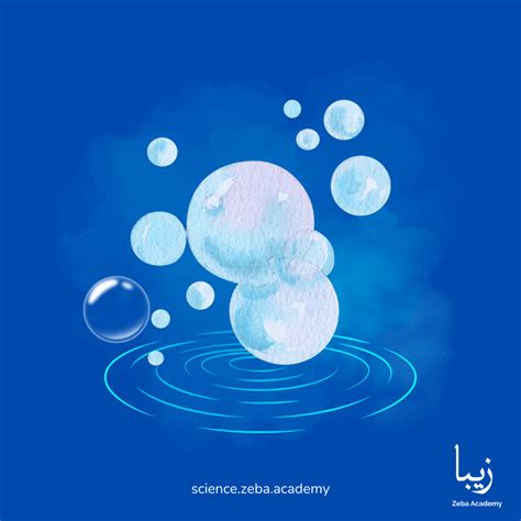 Water Wonders Exploring Oceans Rivers And The Water Cycle Science