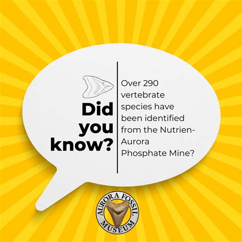 Vertebrate Nutrien Aurorafossilmuseum Northcarolina Museum Fossil… Aurora Fossil Museum