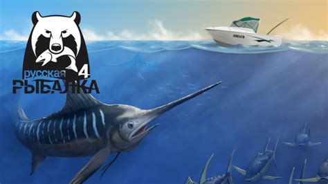 Русская Рыбалка 4 🐠🐳🐠 Russian Fishing 4 - YouTube