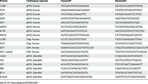 Primers Used For Chip And Qpcr Download Table